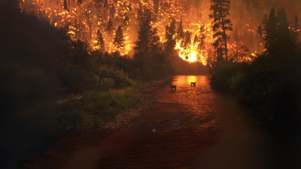 Jasper conmemora un año desde el devastador incendio forestal - Hola Canada