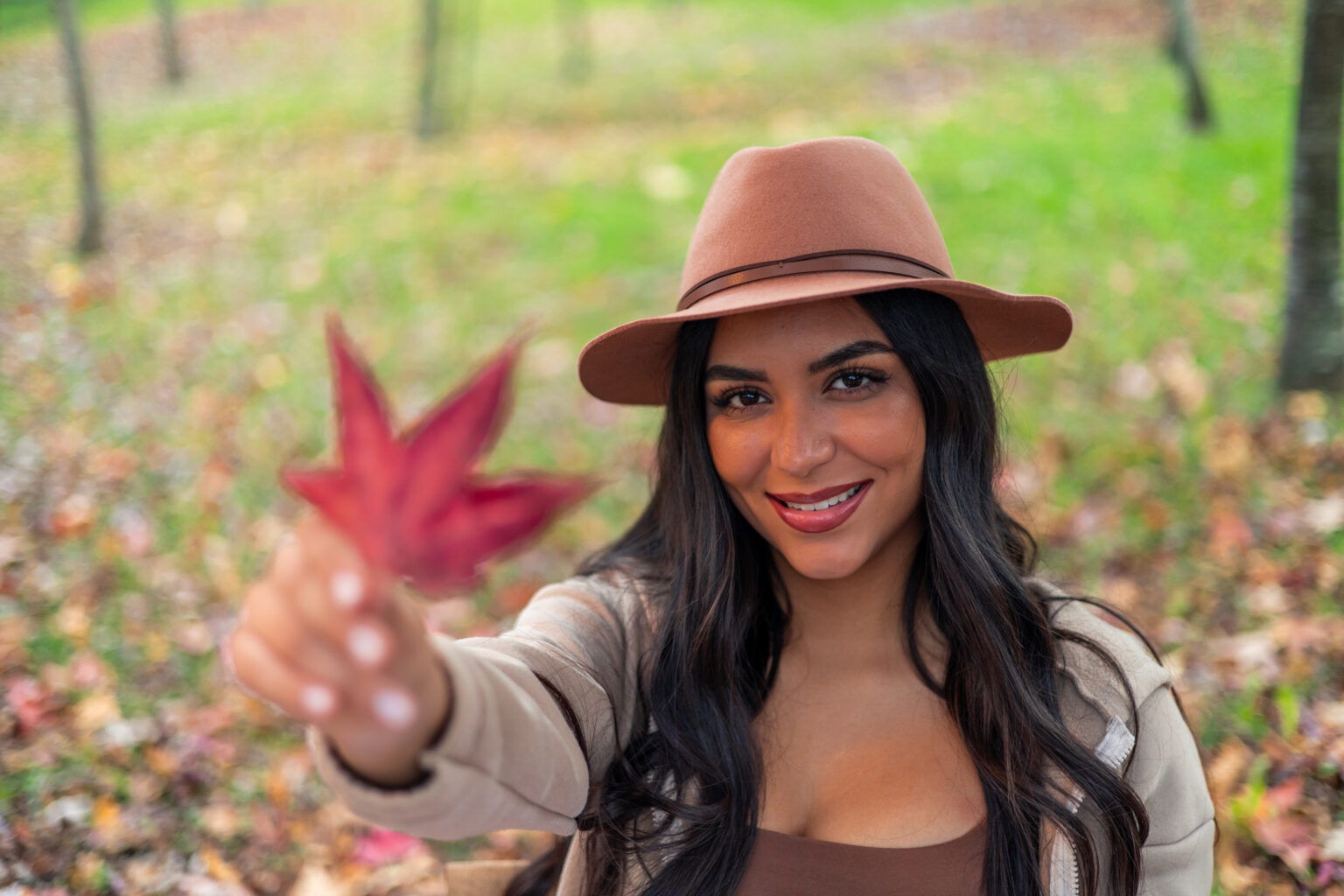 Ontario Fall Colour Report: el mapa para seguir los colores de otoño en ...